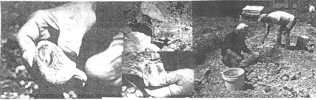 Mozarkite Trip to Lincoln | Show-Me Rockhounds Kansas City