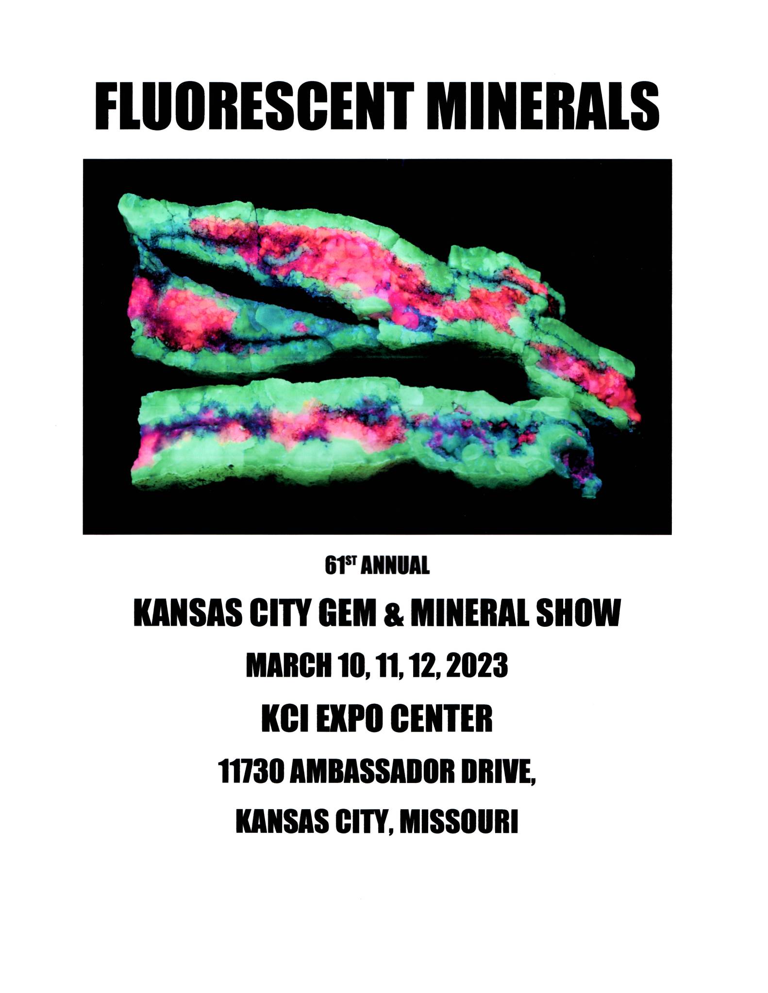 Fossils | Show-Me Rockhounds Kansas City